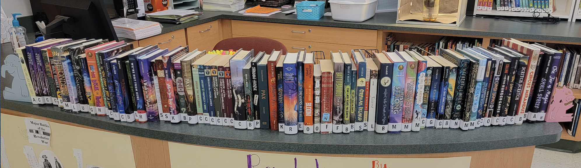 The Magic of a Book Frenzy – Teachers Write